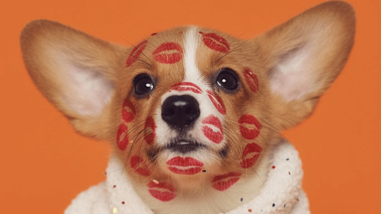 TeraBox - Free Cloud Storage Up To 1 TB, Send Large Files Online